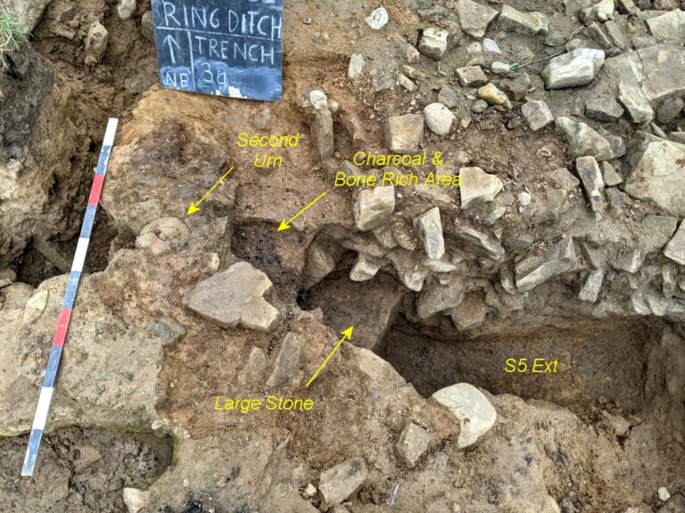 ARD Site Diary (2024) | The Wigan Archaeological Society